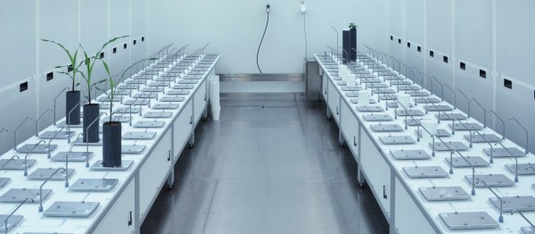 DroughtSpotter in Climate Chamber - PHENOSPEX