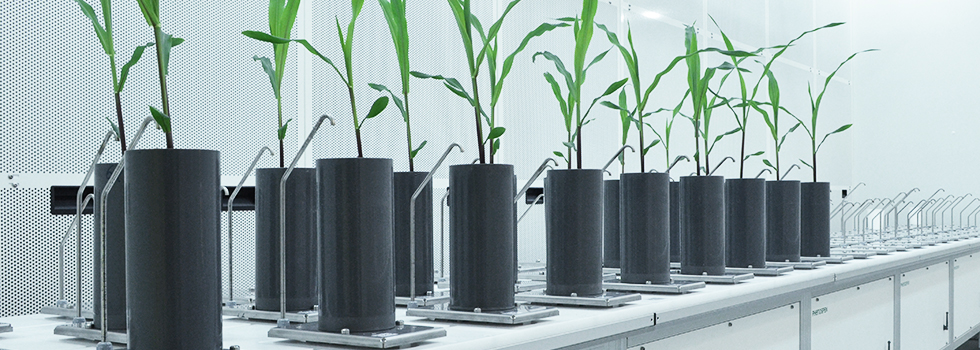 Awis_Slider - PHENOSPEX