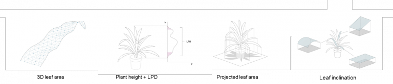 Plant Parameters - PHENOSPEX