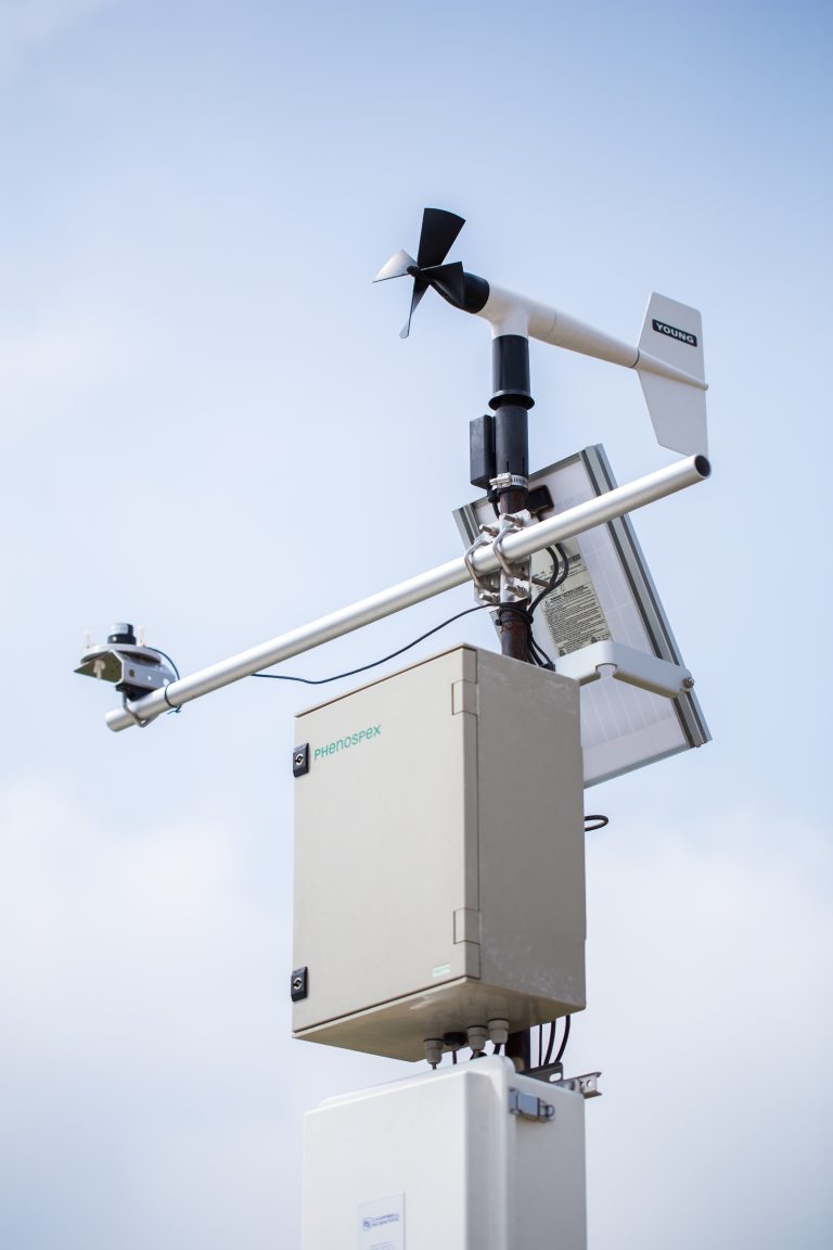 pheno_fieldscan_photo_FullRes-24 - PHENOSPEX