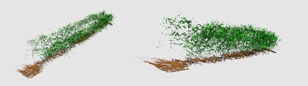 Field Phenotyping - 3D & Spectral scan Wheat plot - PHENOSPEX