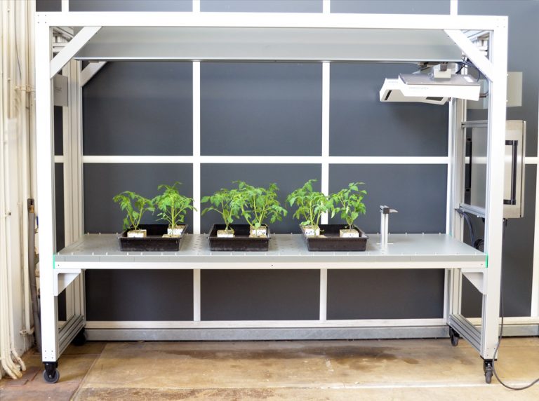 TraitFinder - Digital plant phenotyping - PHENOSPEX