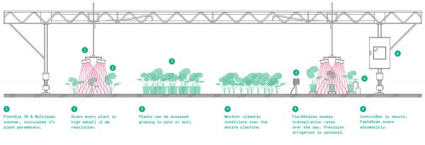 FieldScan for digital field phenotyping and digital measurements of plants in the field - PHENOSPEX