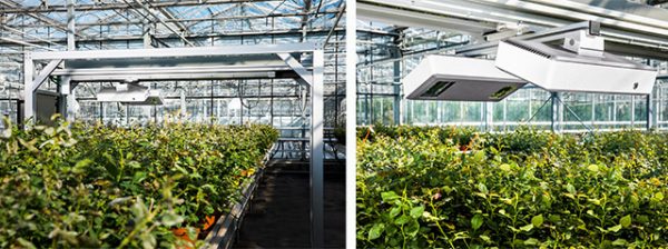 FieldScan plant phenotyping F600 - PHENOSPEX