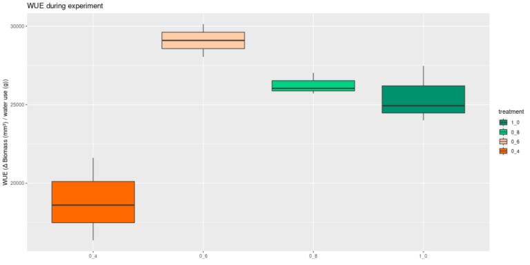 WUE_boxplot_All_Exp - PHENOSPEX