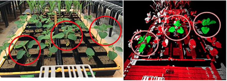 Bayer Validates PlantEye for Automated Efficacy Screening on Soybeans ...