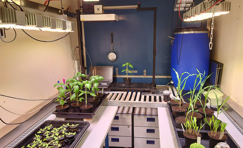 MicroScan The full power of 3D & multispectral phenotyping on your ...